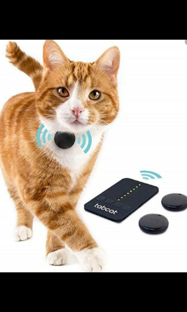 Tabcat Cat tracker, Pet Supplies, Homes & Other Pet Accessories on ...