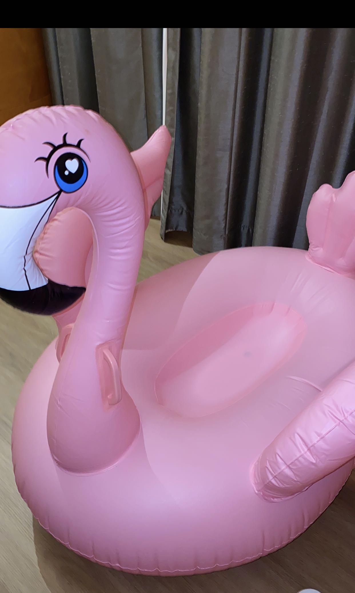 Flamingo Float and electronic Pump, Sports Equipment, Sports & Games ...