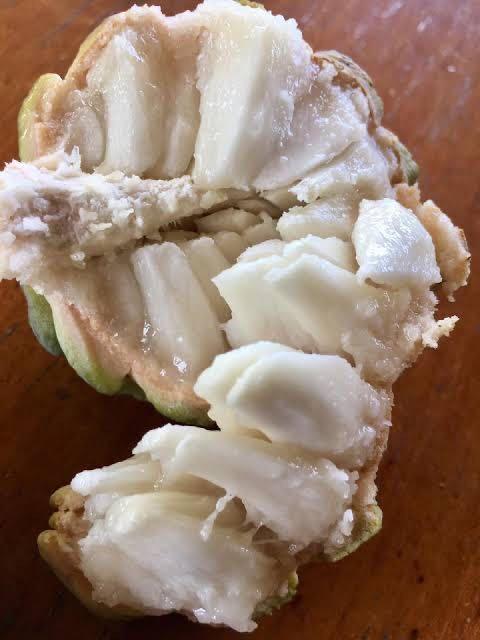 Seedless Atis, Furniture & Home Living, Gardening, Plants & Seeds on ...