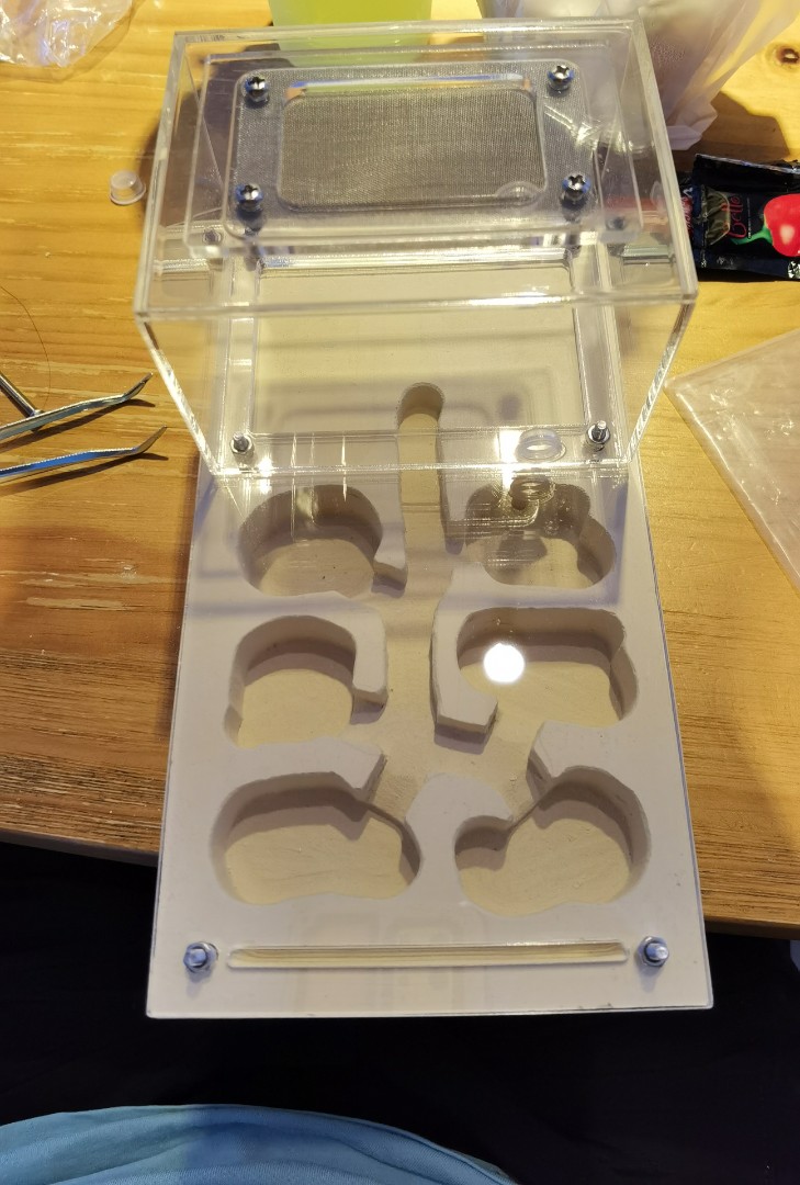 Ant Formicarium ant cage ant house. Queen ant, Pet Supplies, Pet Food ...