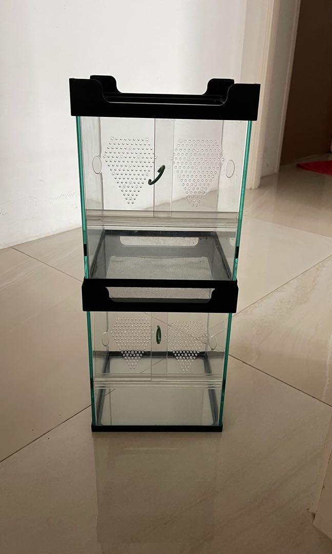 Insect-mantis-beetle-Bug tank, Pet Supplies, For Small Animals, Other ...