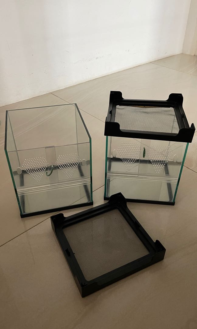 Insect-mantis-beetle-Bug tank, Pet Supplies, For Small Animals, Other ...