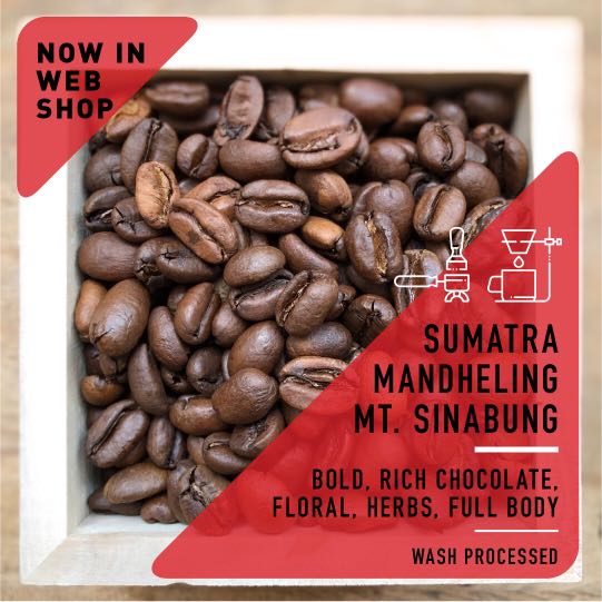 Roasted Coffee Beans – Sumatra Mandheling Mt. Sinabung 200g, Food ...