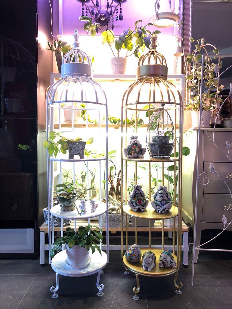 Preorder Beautiful bird Cage planter stand/ display stand/ shelving ...