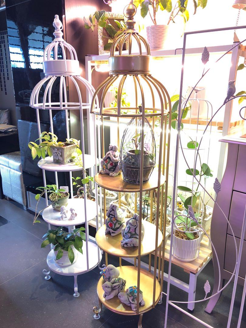 Preorder Beautiful bird Cage planter stand/ display stand/ shelving ...