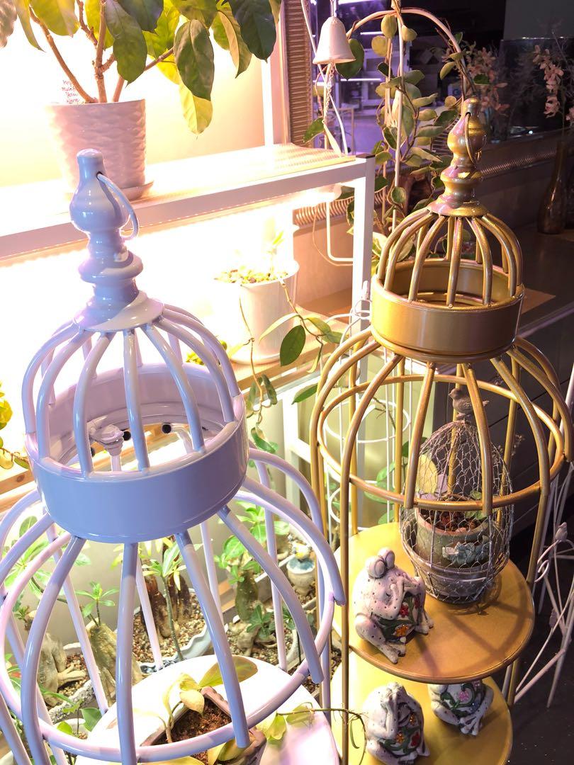 Preorder Beautiful bird Cage planter stand/ display stand/ shelving ...