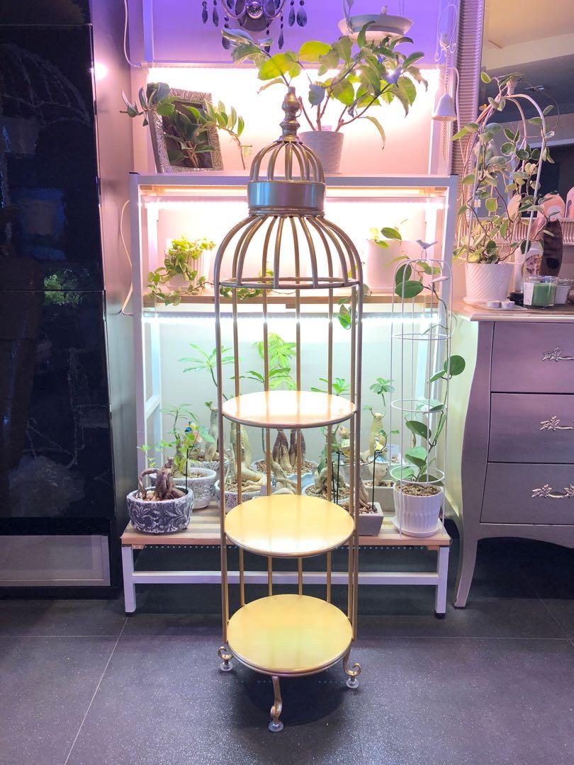 Preorder Beautiful bird Cage planter stand/ display stand/ shelving ...