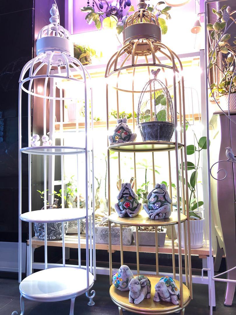 Preorder Beautiful bird Cage planter stand/ display stand/ shelving ...