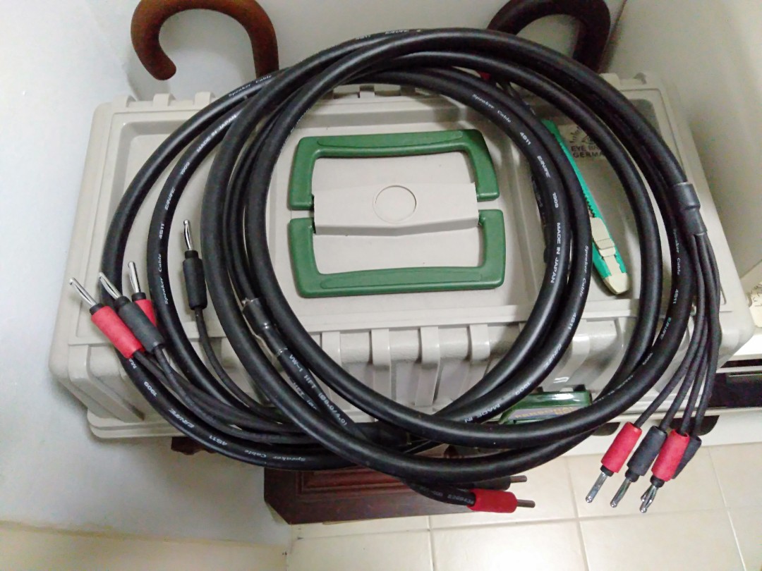 Canarese cable, Audio, Portable Audio Accessories on Carousell