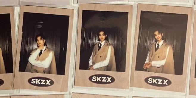 Stray Kids skz-x and skzoo pola complete set, Hobbies & Toys ...