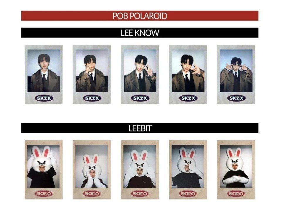 Stray Kids skz-x and skzoo pola complete set, Hobbies & Toys ...