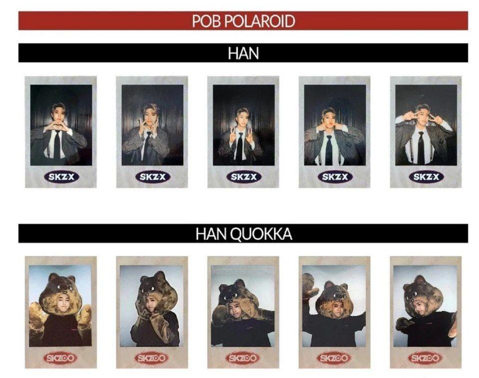 Stray Kids skz-x and skzoo pola complete set, Hobbies & Toys ...