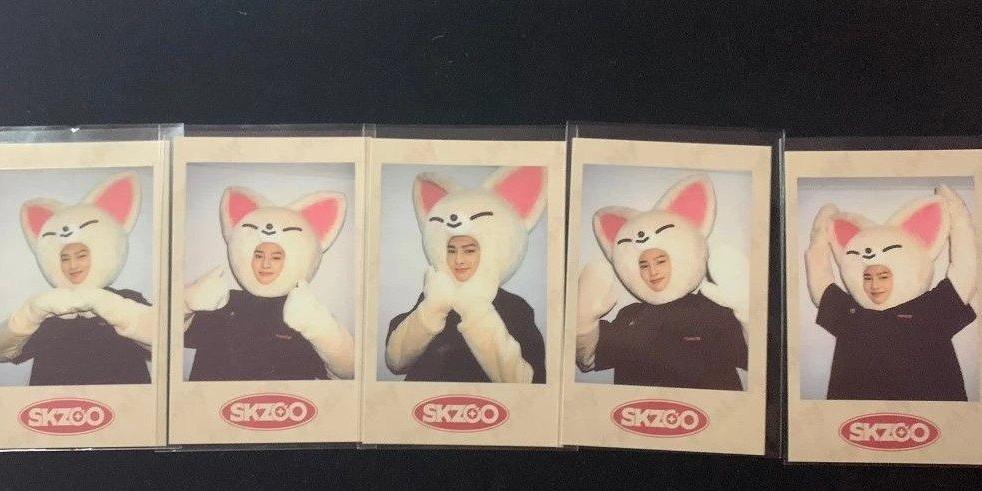 Stray Kids skz-x and skzoo pola complete set, Hobbies & Toys ...