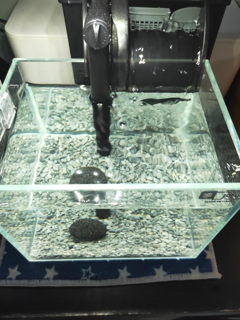 Fish Tank Set / Crystal Clear / Nano / Shrimp / Aquarium, Pet Supplies ...