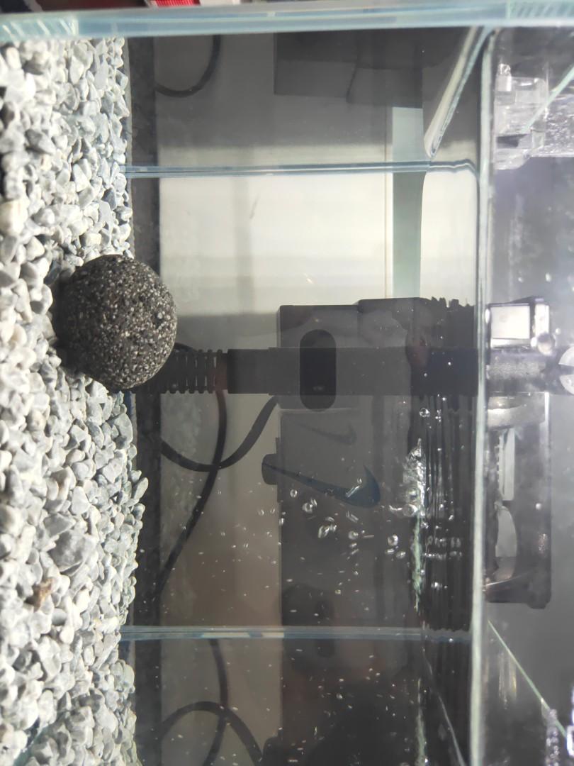 Fish Tank Set / Crystal Clear / Nano / Shrimp / Aquarium, Pet Supplies ...