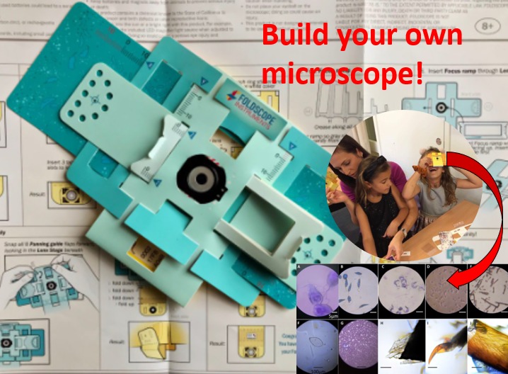 Original Foldscope DIY paper microscope Education Kit, Hobbies & Toys ...