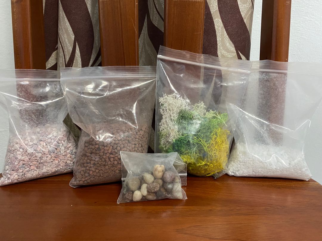 Terrarium pebbles and moss, Furniture & Home Living, Gardening, Plants ...