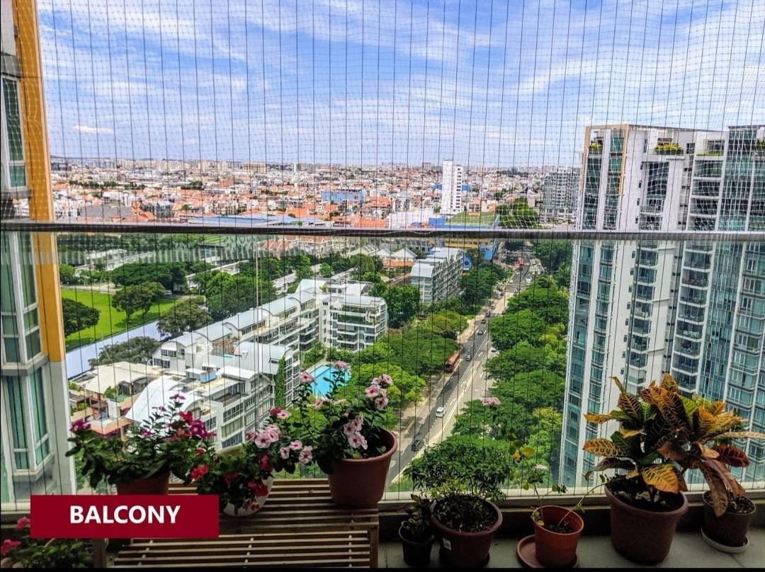 1M x 1M Window Transparent Cat Mesh, Pet Supplies, Homes & Other Pet ...