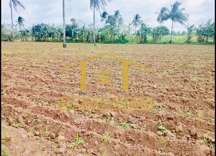 Murang Farm Lot For Sale Property For Sale Lot On Carousell