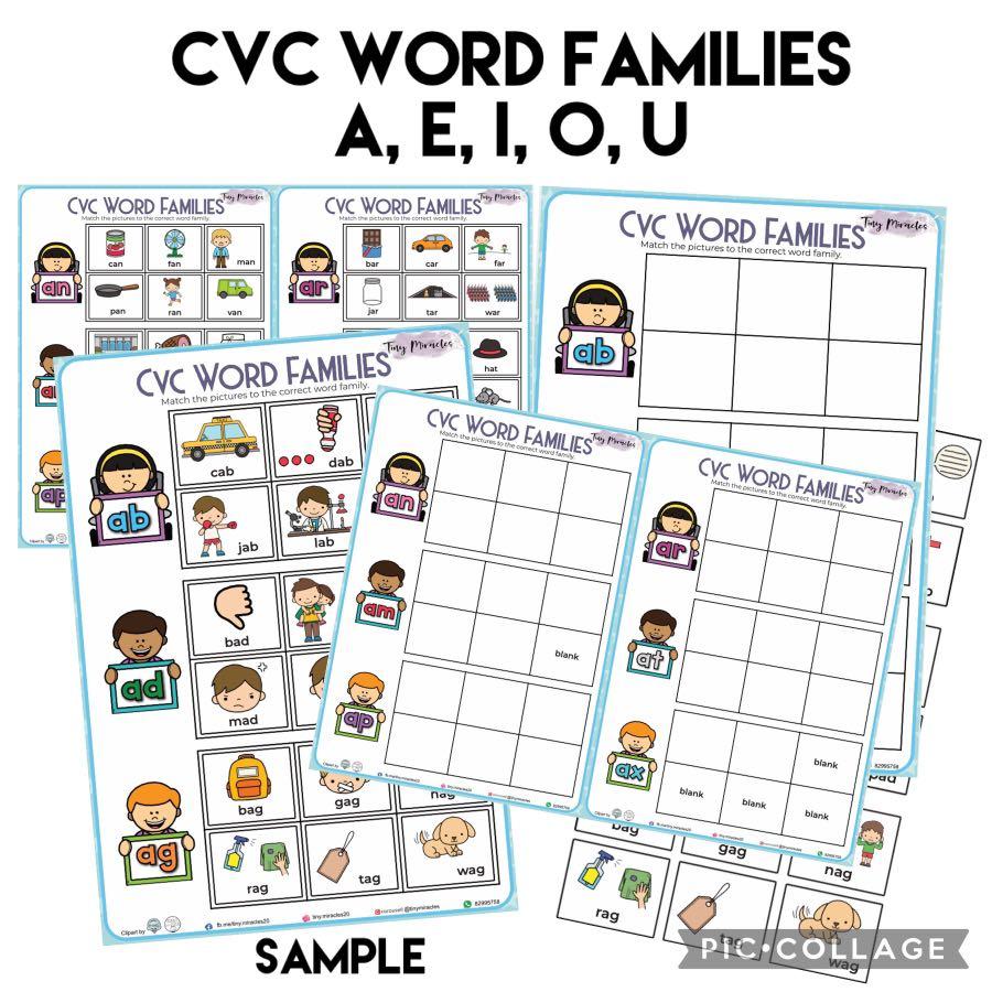 Phonics CVC Word Family (Learning Resources, Busy Binder), Books ...