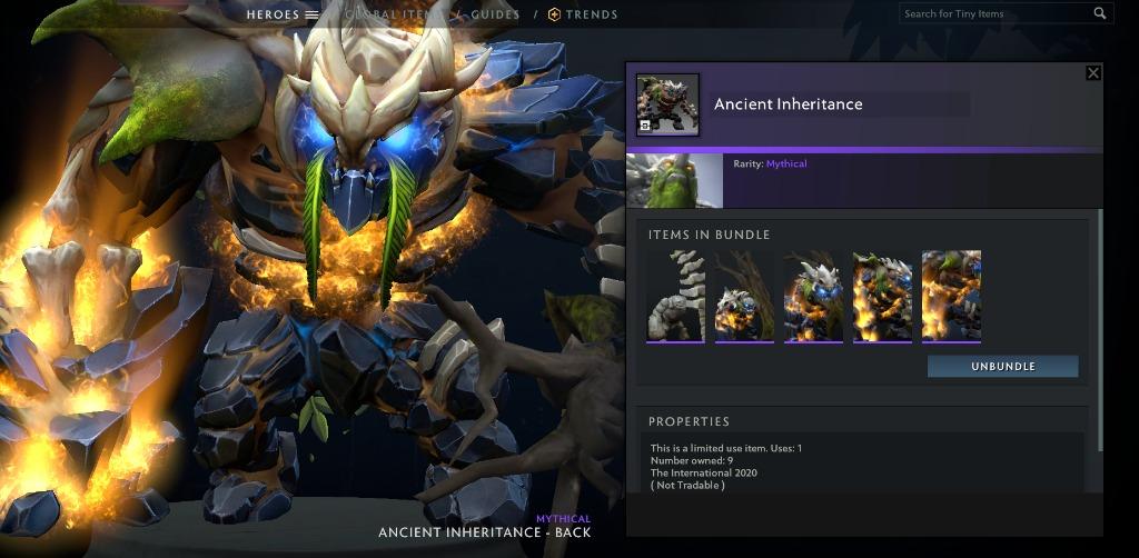 Dota 2 2020 Collector Cache V3, Video Gaming, Gaming Accessories, In ...