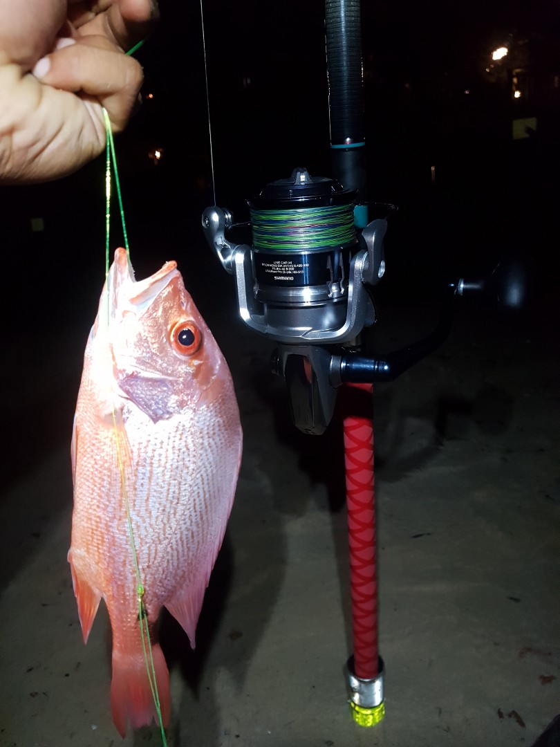 Saragosa 2020 14000, Sports Equipment, Fishing on Carousell