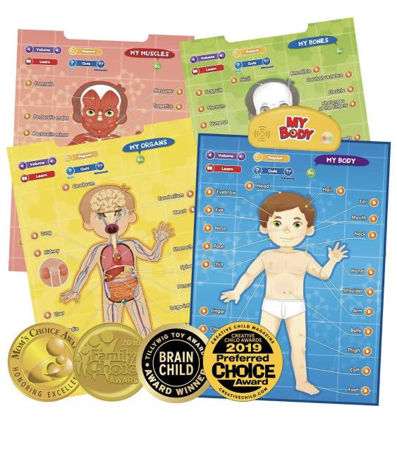 Best Learning Talking Body Parts Chart Poster, Hobbies & Toys, Toys ...