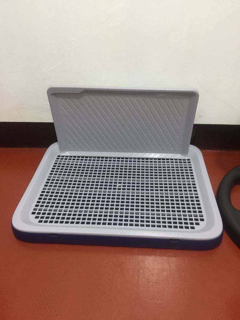 Urinal Potty Tray, Pet Supplies, Homes & Other Pet Accessories on Carousell