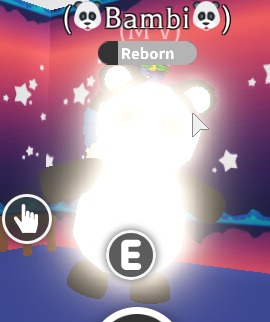 Adopt me pets NFR panda, Video Gaming, Video Games, Others on Carousell