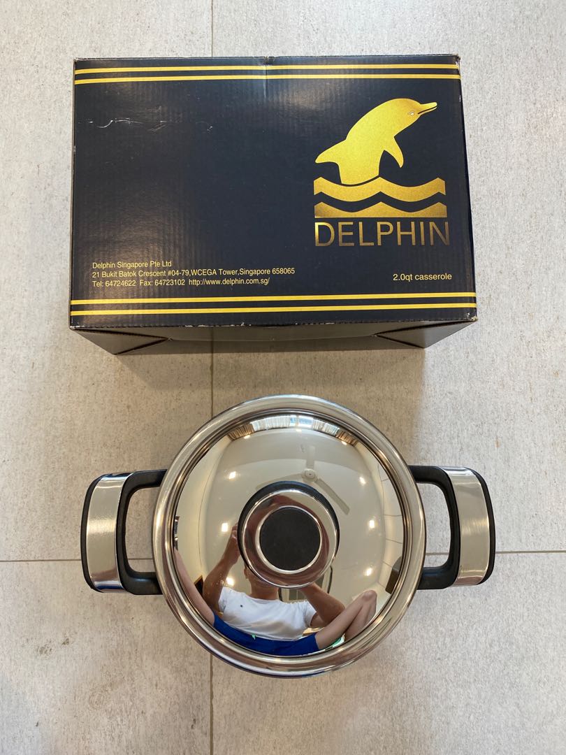 Delphin 2.0 quart casserole stainless steel, Furniture & Home Living ...