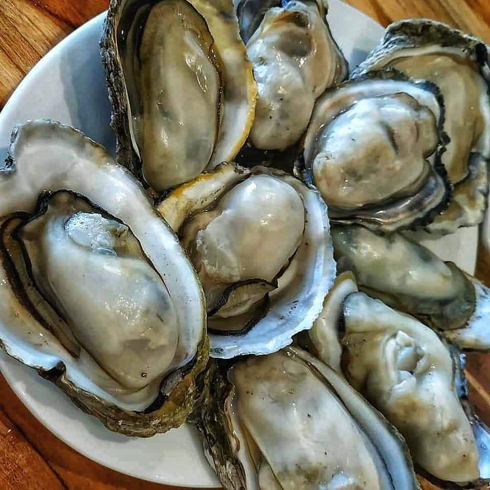 FRESH OYSTER/TALABA, Food & Drinks, Local Eats on Carousell