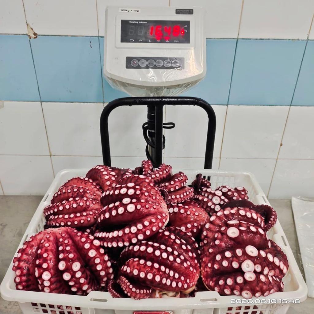 Octopus Cooked 1kg per bag $32, Food & Drinks, Local Eats on Carousell