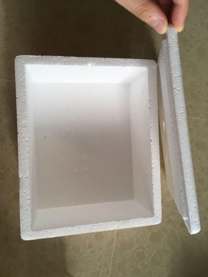 Styrofoam storage box, Everything Else on Carousell