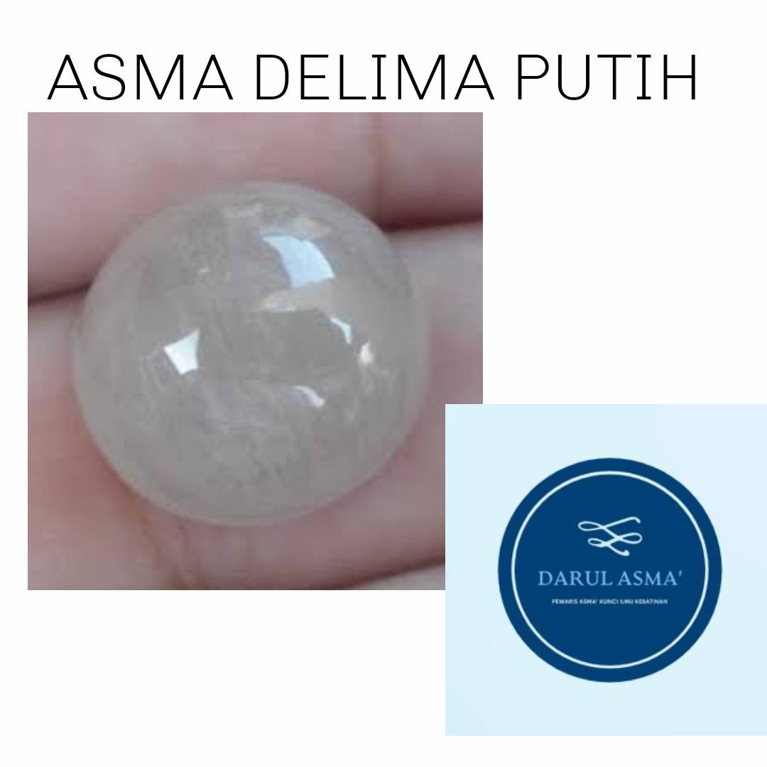 Asma Delima Putih - Khusus mendatangkan Tetamu VVIP, Hobbies & Toys, Memorabilia & Collectibles ...