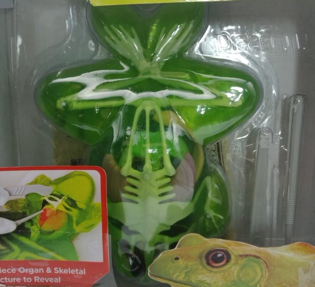 Dissect-It Frog Simulated Synthetic Lab Dissection Top Secret Toys STEM ...