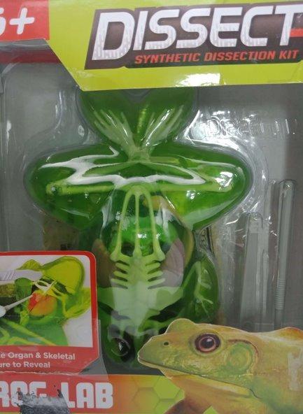 Dissect-It Frog Simulated Synthetic Lab Dissection Top Secret Toys STEM ...