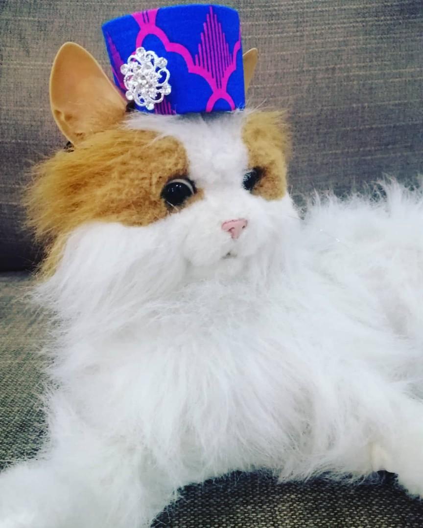 Cat Songkok and tanjak, Pet Supplies, Health & Grooming on Carousell