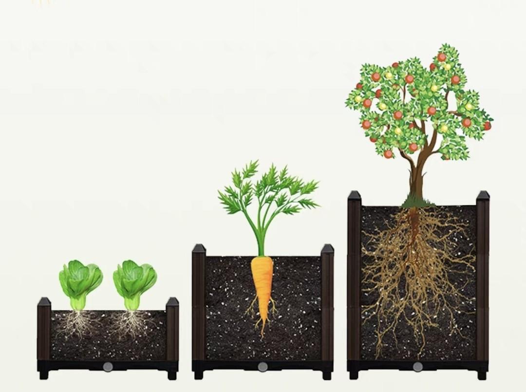 Corridor & Rooftop Gardening Planters (Brand-New), Furniture & Home ...