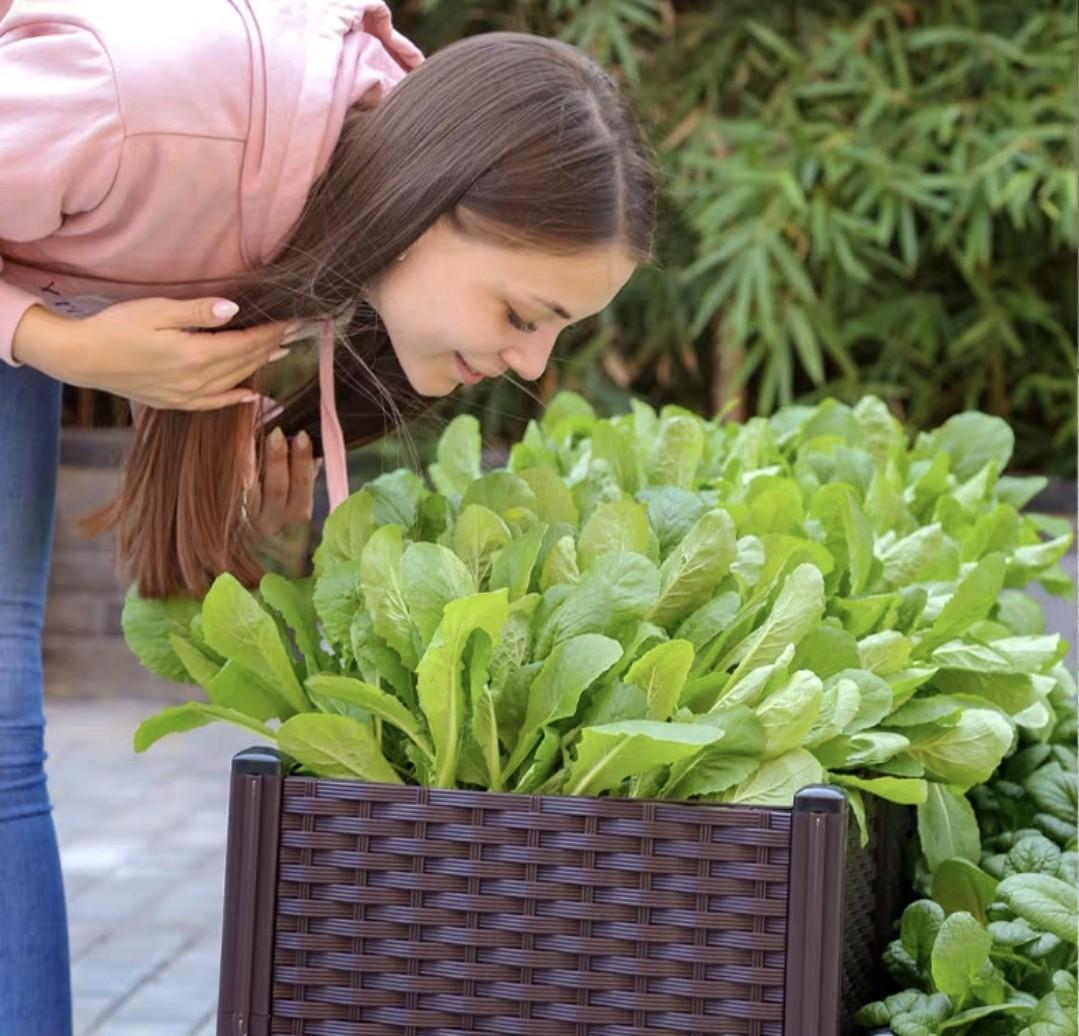 Corridor & Rooftop Gardening Planters (Brand-New), Furniture & Home ...