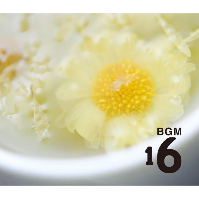 Muji Music CD Album BGM 2, 6, 13, 16, Hobbies & Toys, Music & Media ...