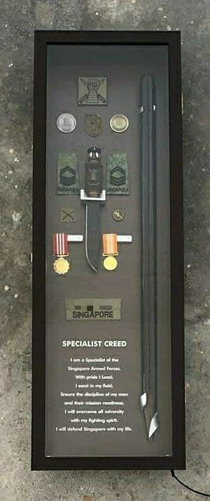 Pace Stick Case Display - Pacestick Army/ Navy/ Airforce/ Police ...