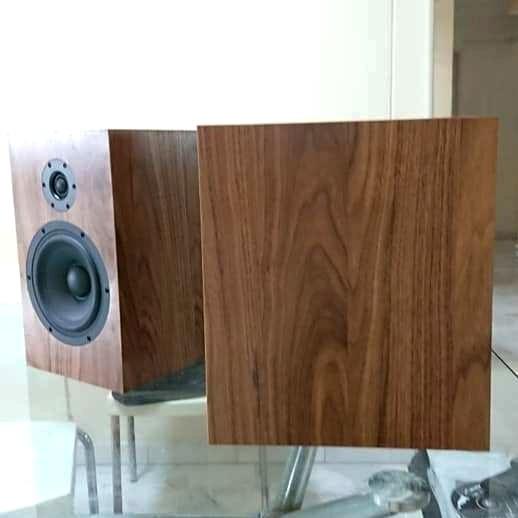 Best Bookshelf Speaker Award NBT 2020, Custom-Made in U.S., CSS Criton ...