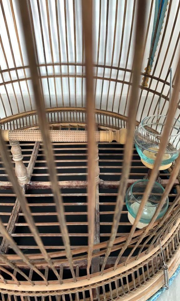 Solid Beautiful Merbok Cage, Pet Supplies, Homes & Other Pet ...