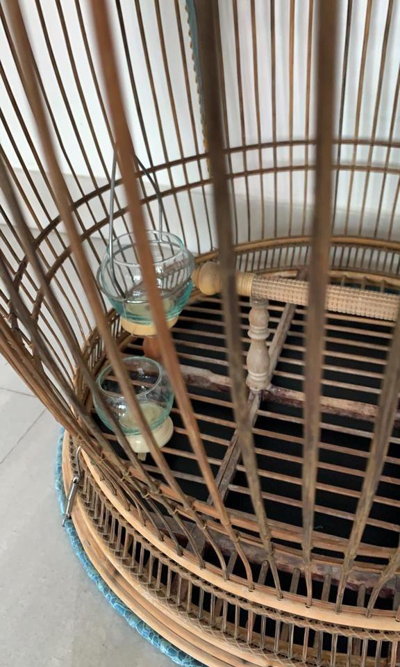 Solid Beautiful Merbok Cage, Pet Supplies, Homes & Other Pet ...