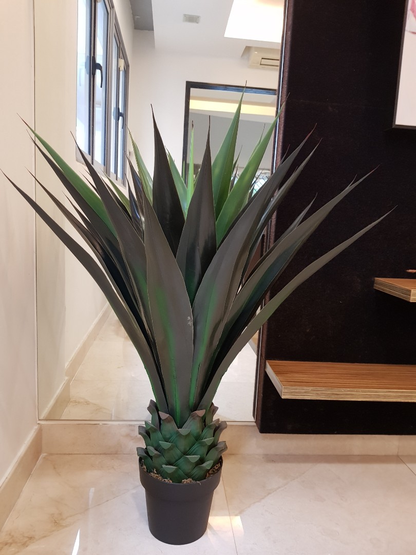 Artificial pineapple tree, Furniture & Home Living, Home Decor, Other ...