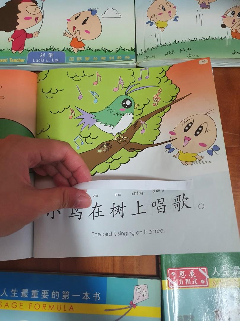 Sage formula chinese basic 500 level 2, Hobbies & Toys, Books ...