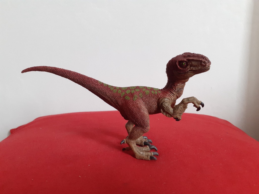 Schleich Velociraptor, Hobbies & Toys, Toys & Games on Carousell