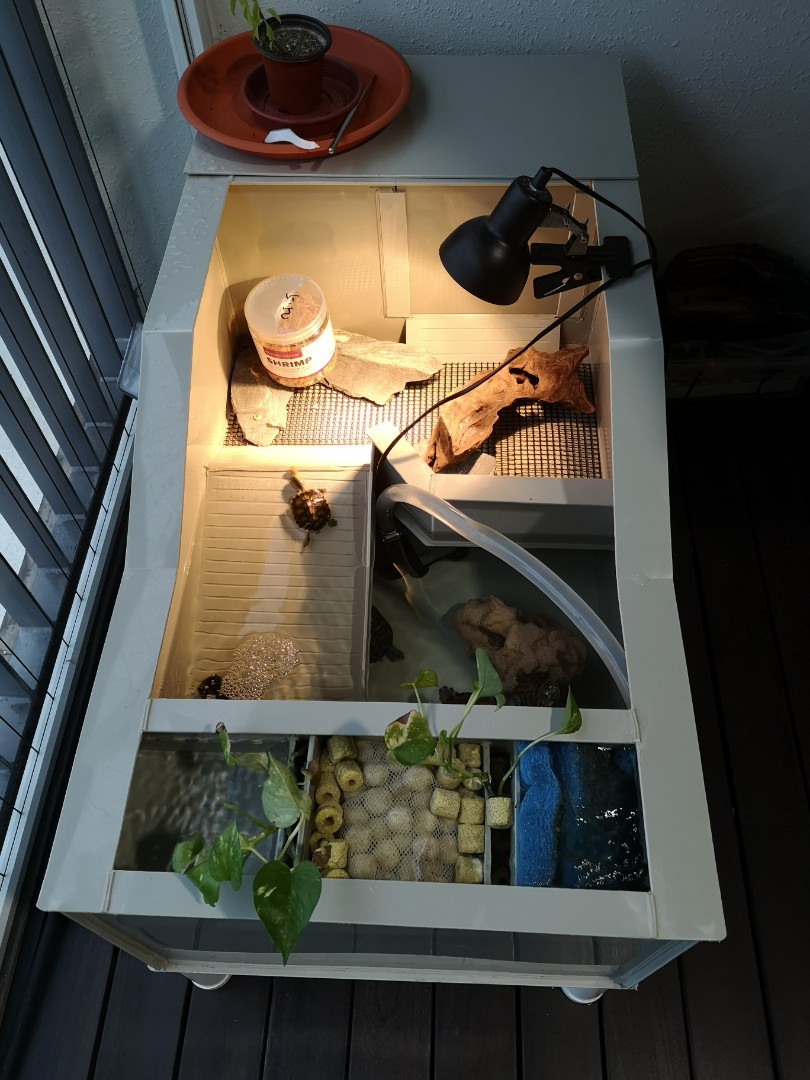 Turtle Tank with basking deck and sand play, Pet Supplies, Homes ...