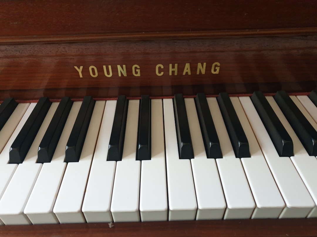 YOUNG CHANG, Hobbies & Toys, Music & Media, Musical Instruments on ...
