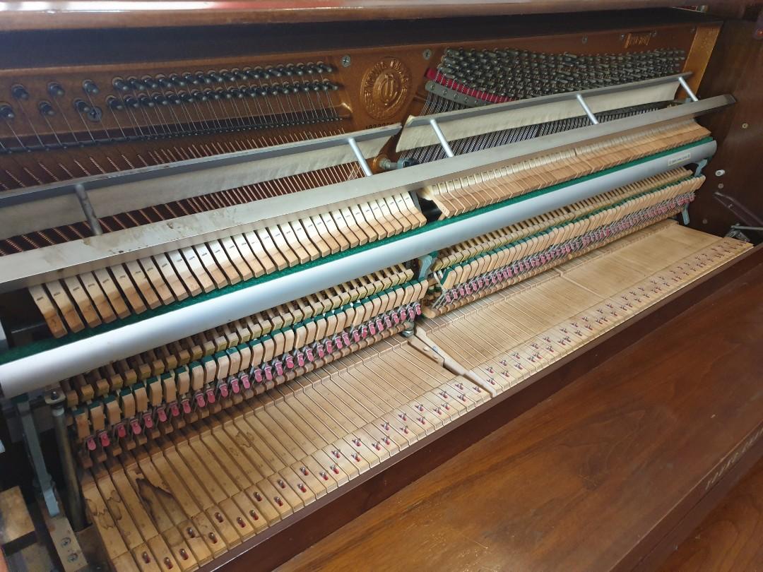 YOUNG CHANG, Hobbies & Toys, Music & Media, Musical Instruments on ...